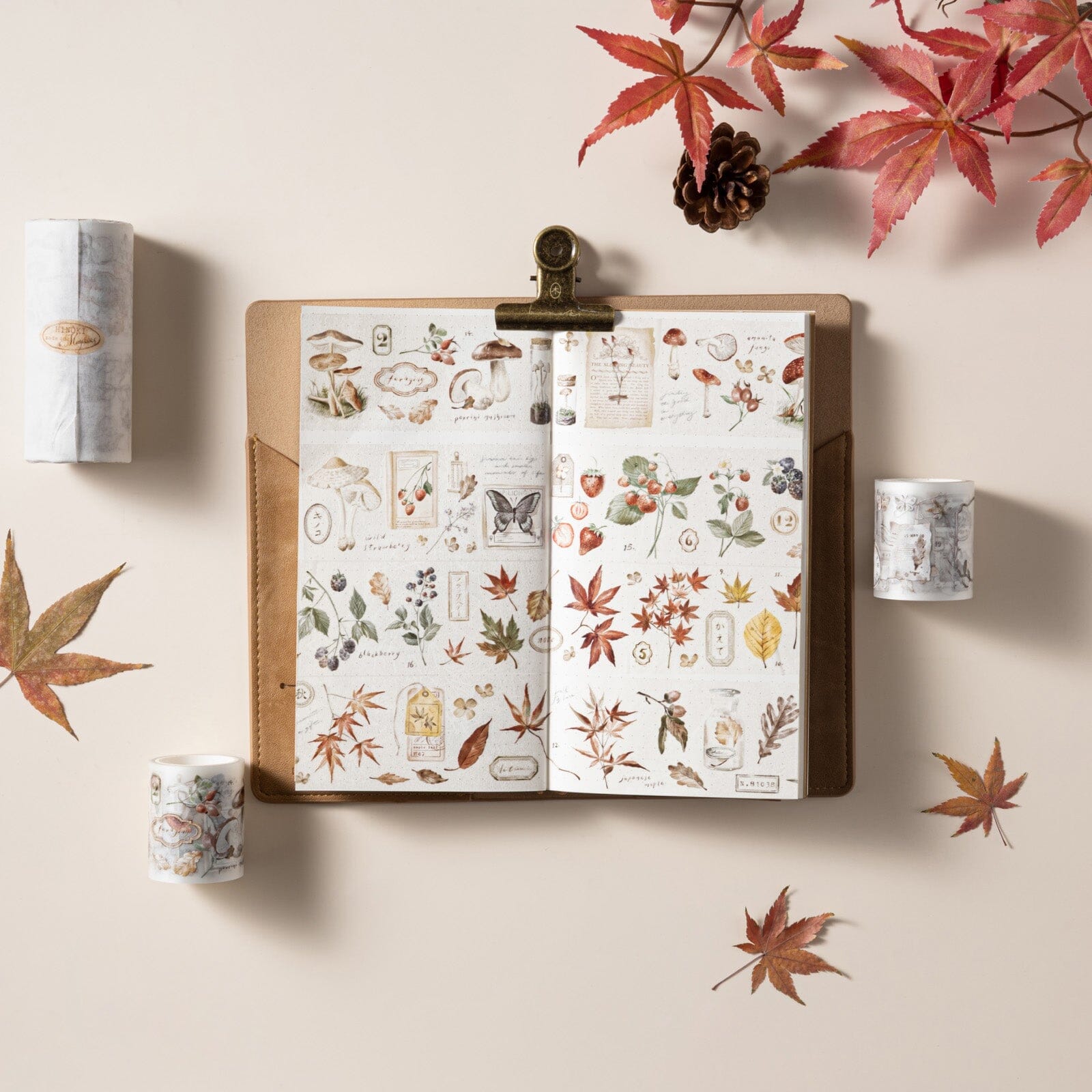 Hinoki Collection – NotebookTherapy