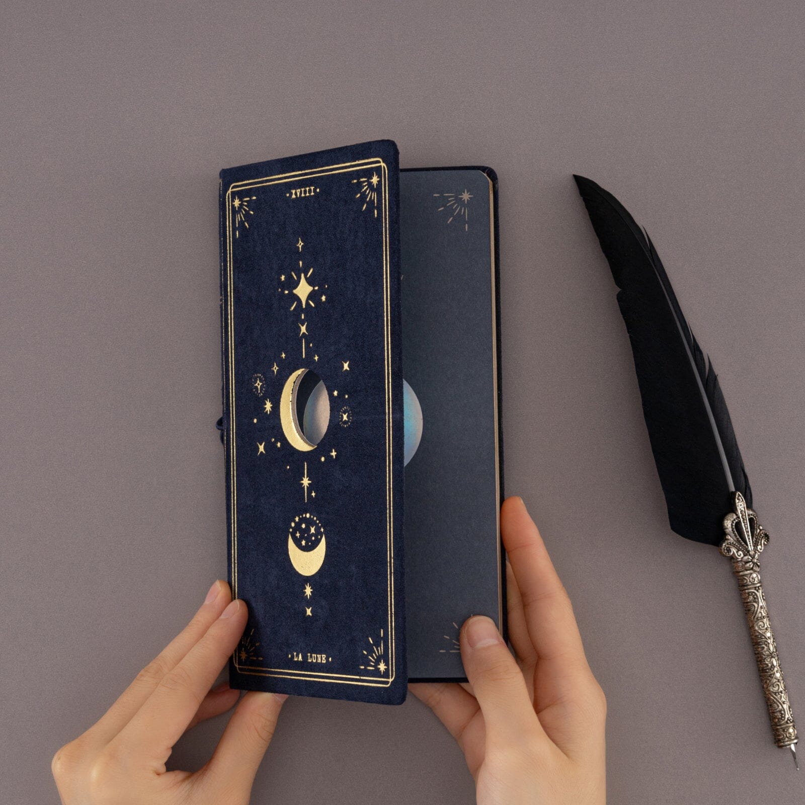 Lunar Delivery 🌕 – NotebookTherapy